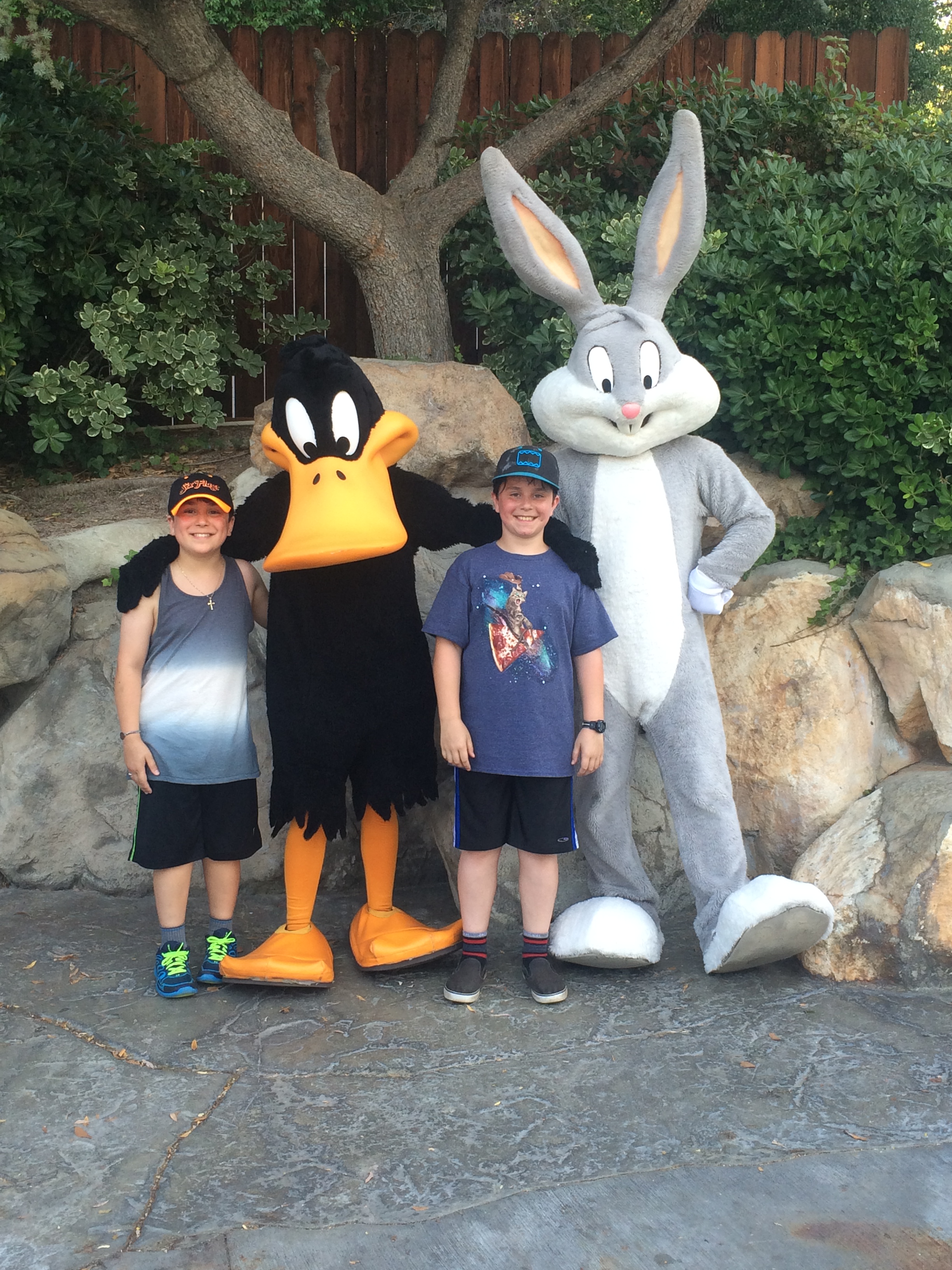 Bugs Bunny and Donald Duck - Help Fill a Dream Foundation
