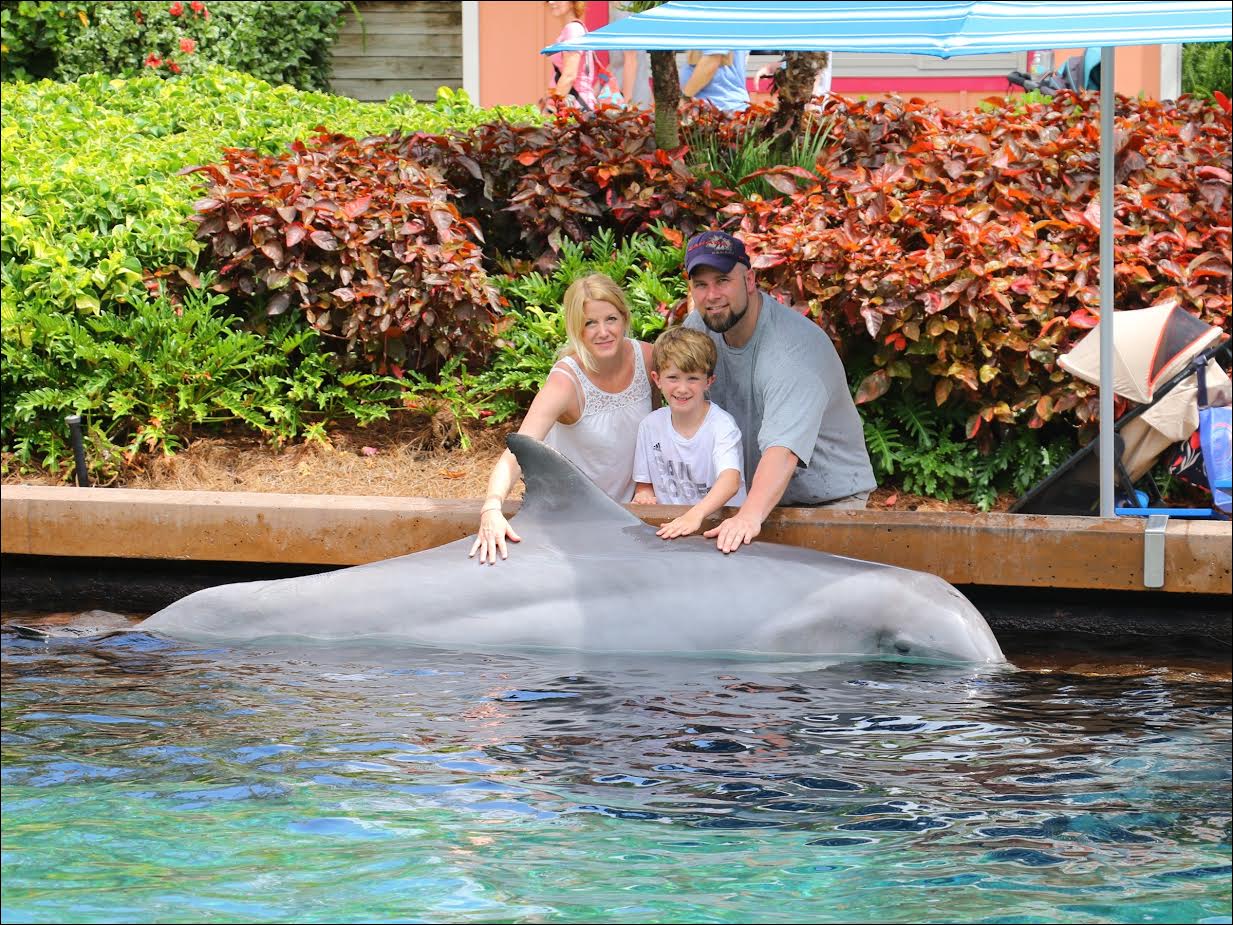 dolphin - Help Fill a Dream Foundation